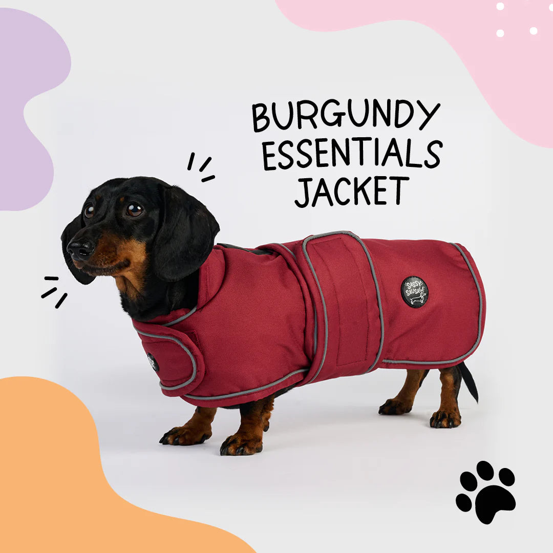 Sassy Sausage Essentials Jacket – Oh My Dog